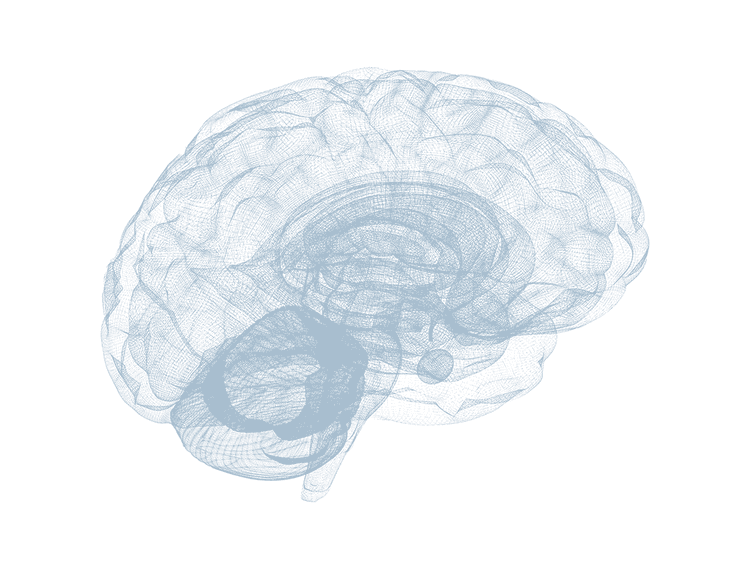 Your All-In-One Solution For Longevity Medicine | Lifeforce