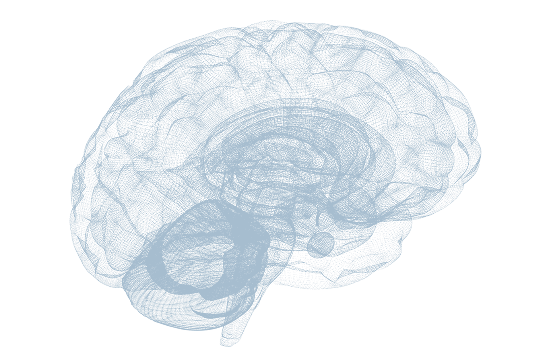 Brain Protection Program - mylifeforce.com