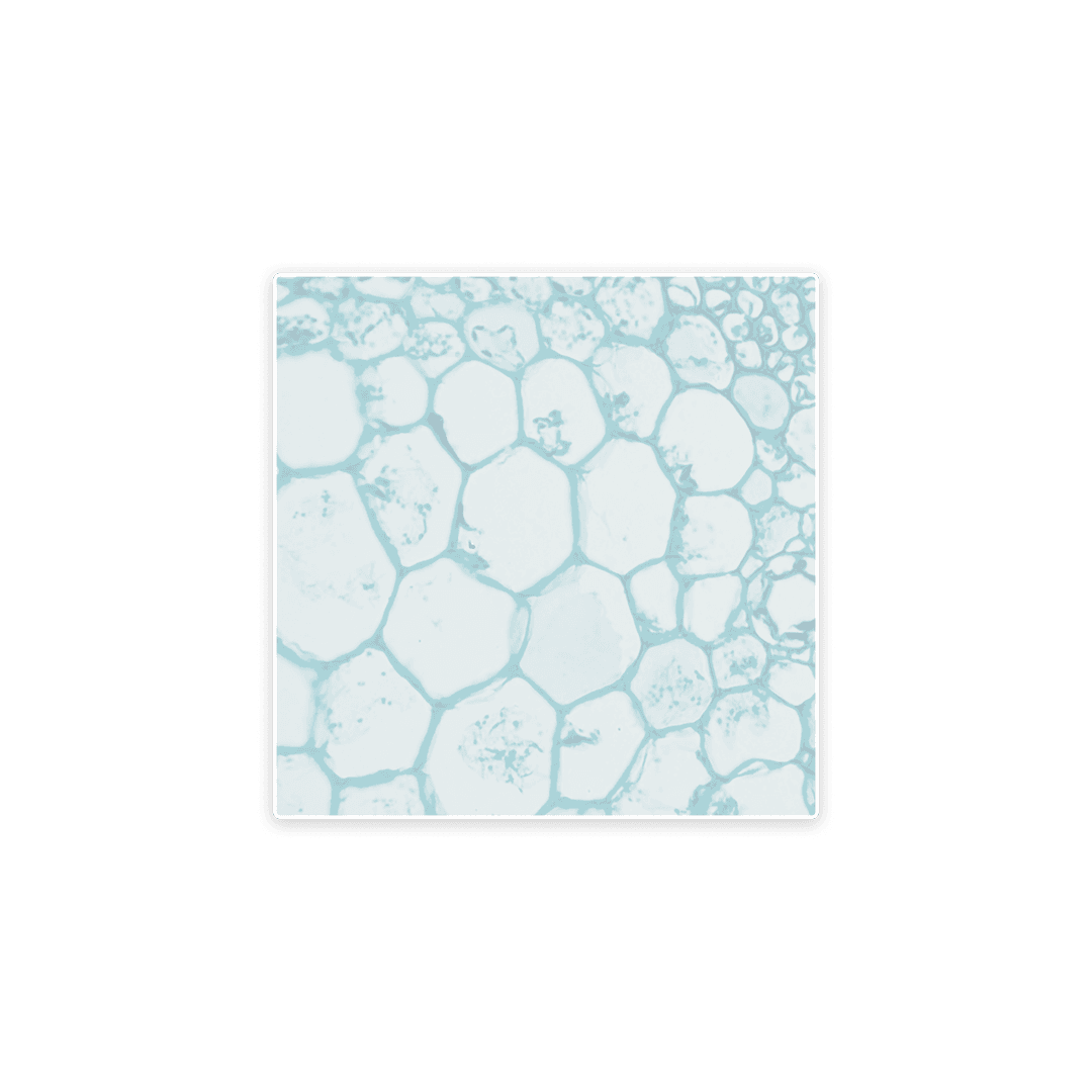 Advanced Health Panels: Dive Deeper Into Your Health - mylifeforce.com